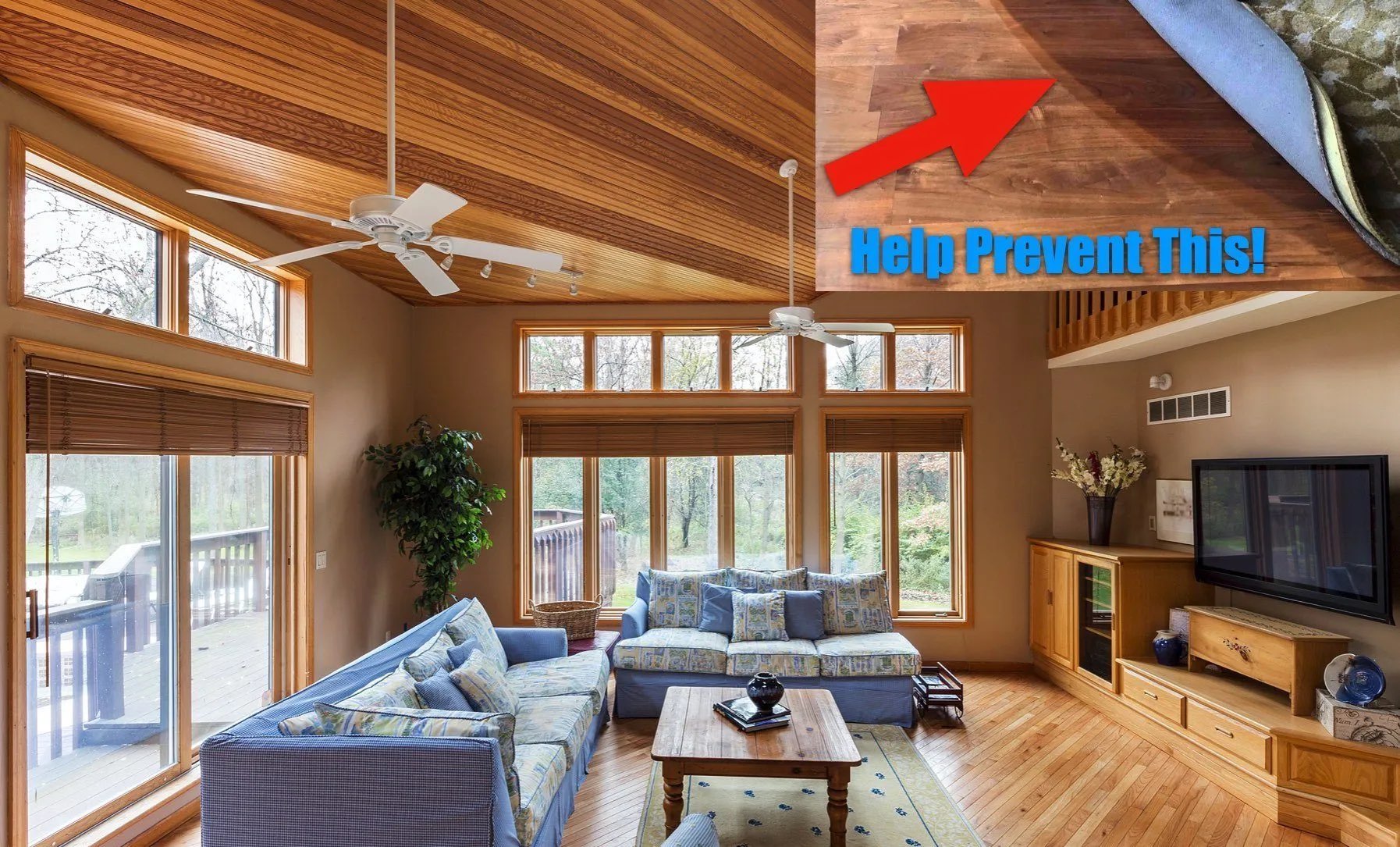 Sun Damaged Floors & Furnishings - Great Fade Protection